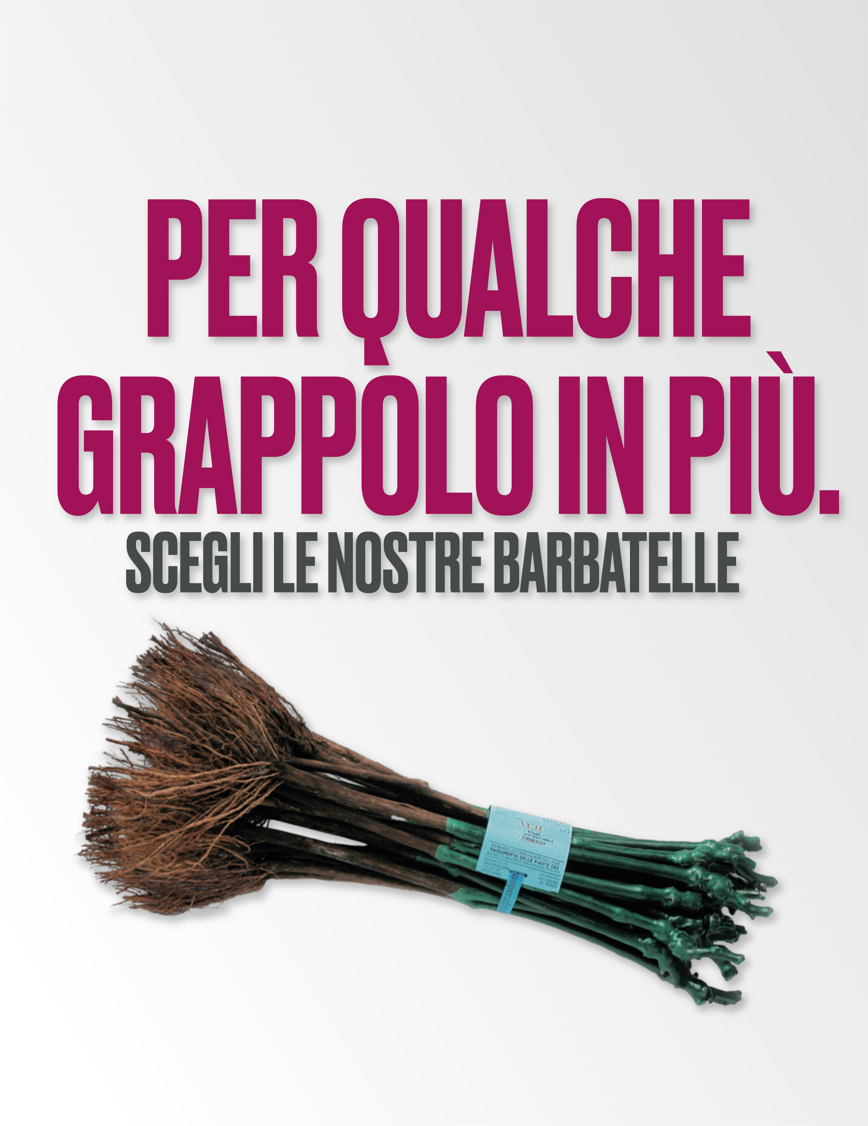 Vendita Prodotti per Vino, Birra e Olio | Polsinelli Enologia
