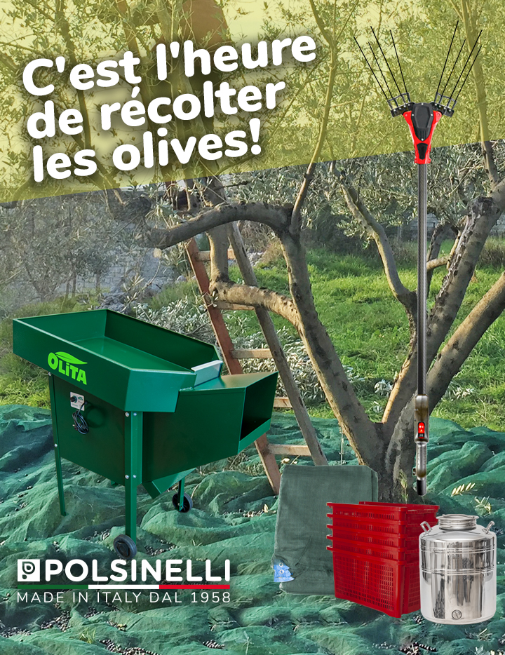 Polsinelli Enologia Srl