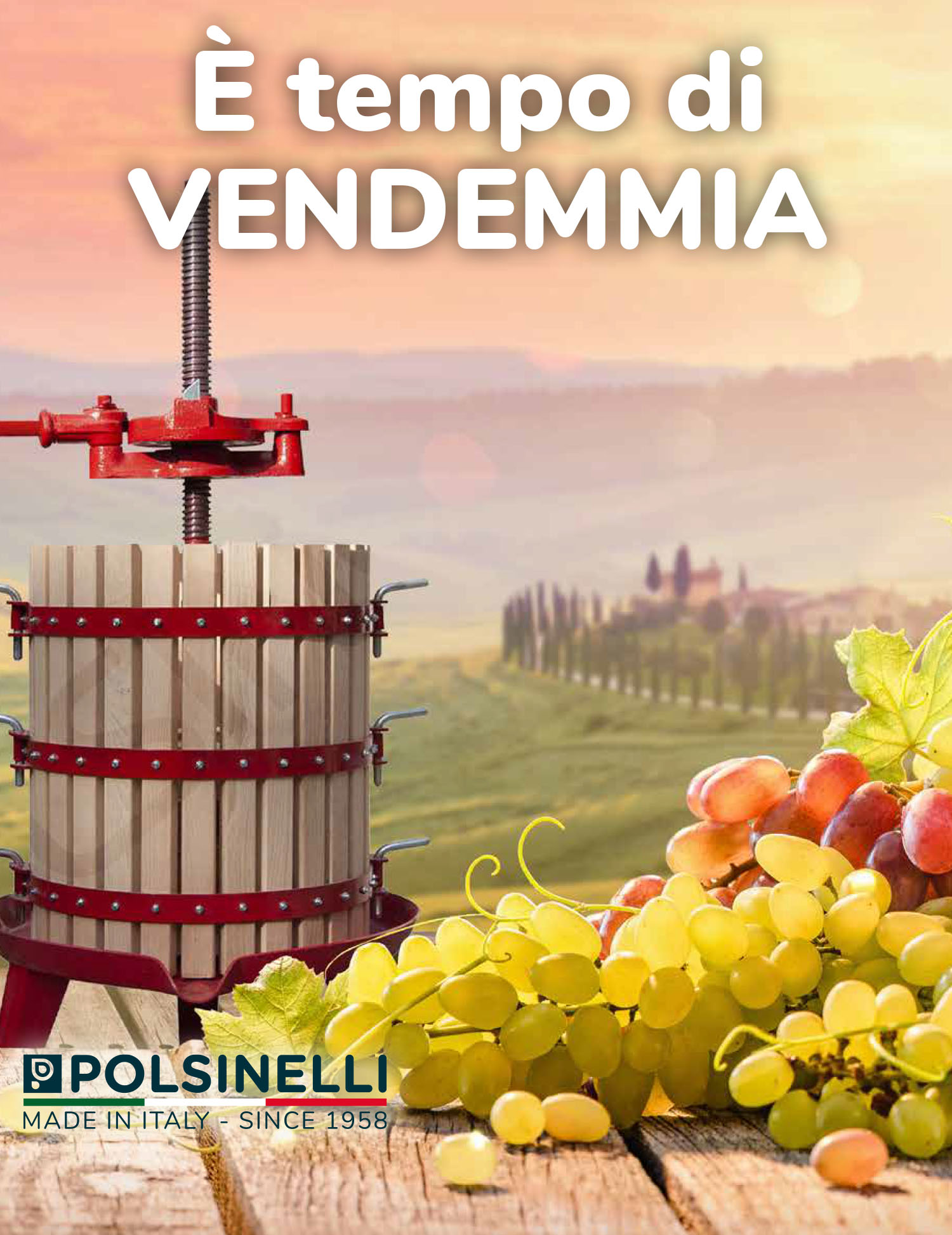 Vendita Prodotti per Vino, Birra e Olio | Polsinelli Enologia