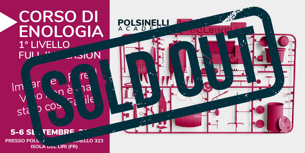 Vendita Prodotti per Vino, Birra e Olio | Polsinelli Enologia