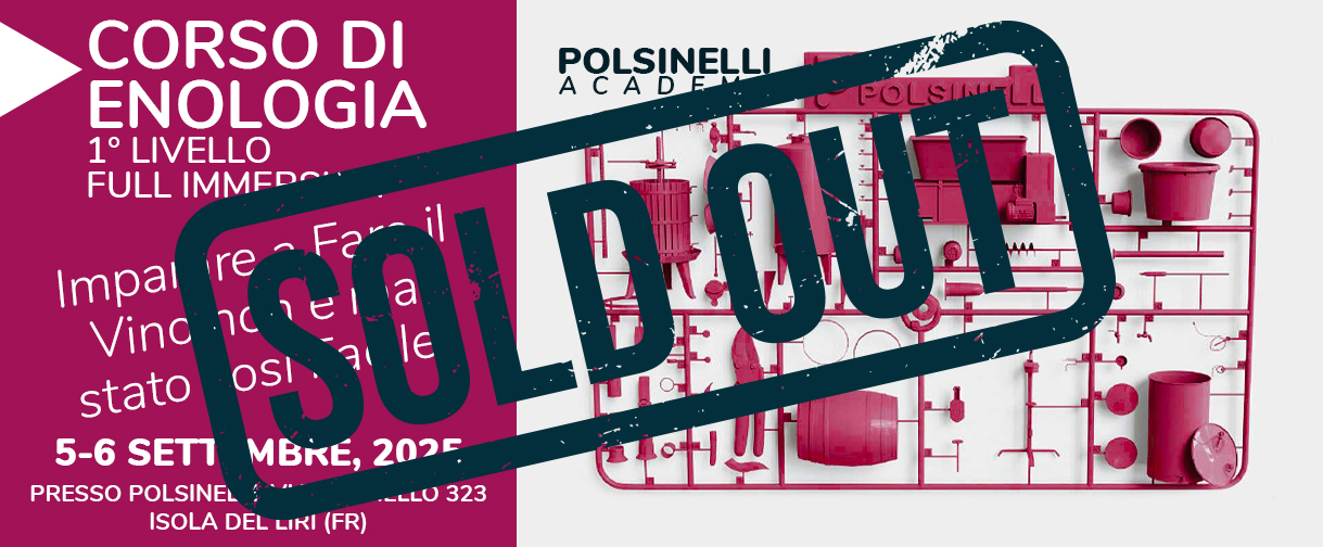 Vendita Prodotti per Vino, Birra e Olio | Polsinelli Enologia