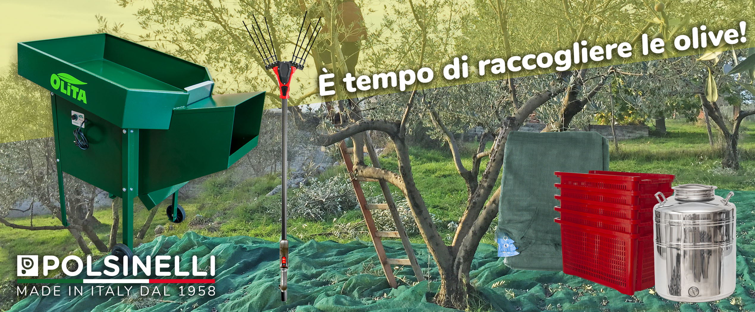 Vendita Prodotti per Vino, Birra e Olio | Polsinelli Enologia