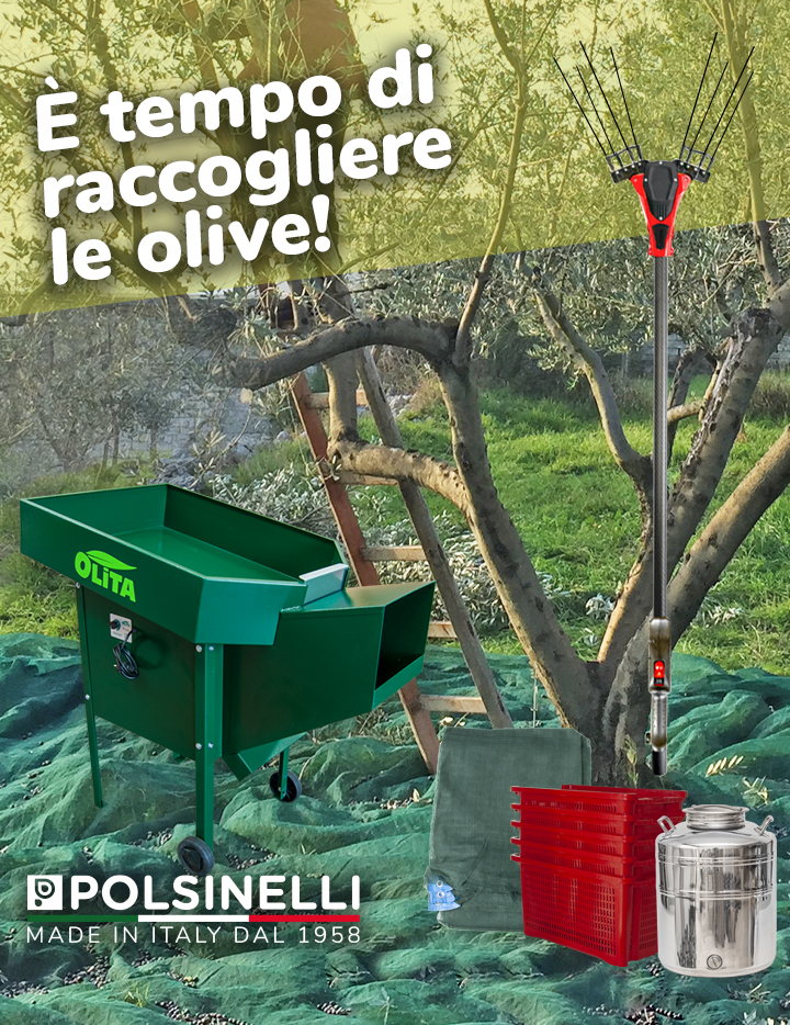 Vendita Prodotti per Vino, Birra e Olio | Polsinelli Enologia