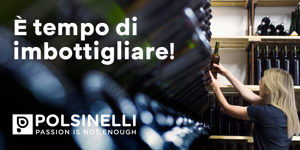 Vendita Prodotti per Vino, Birra e Olio | Polsinelli Enologia