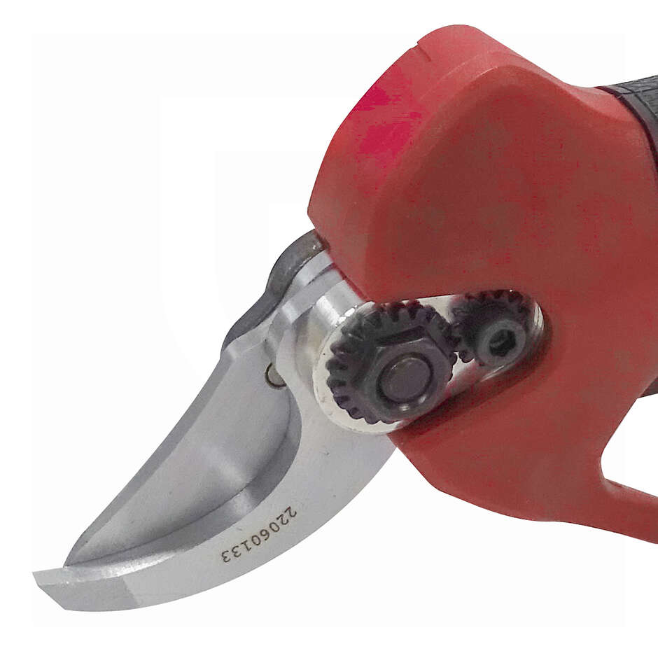 Our best products for sale online