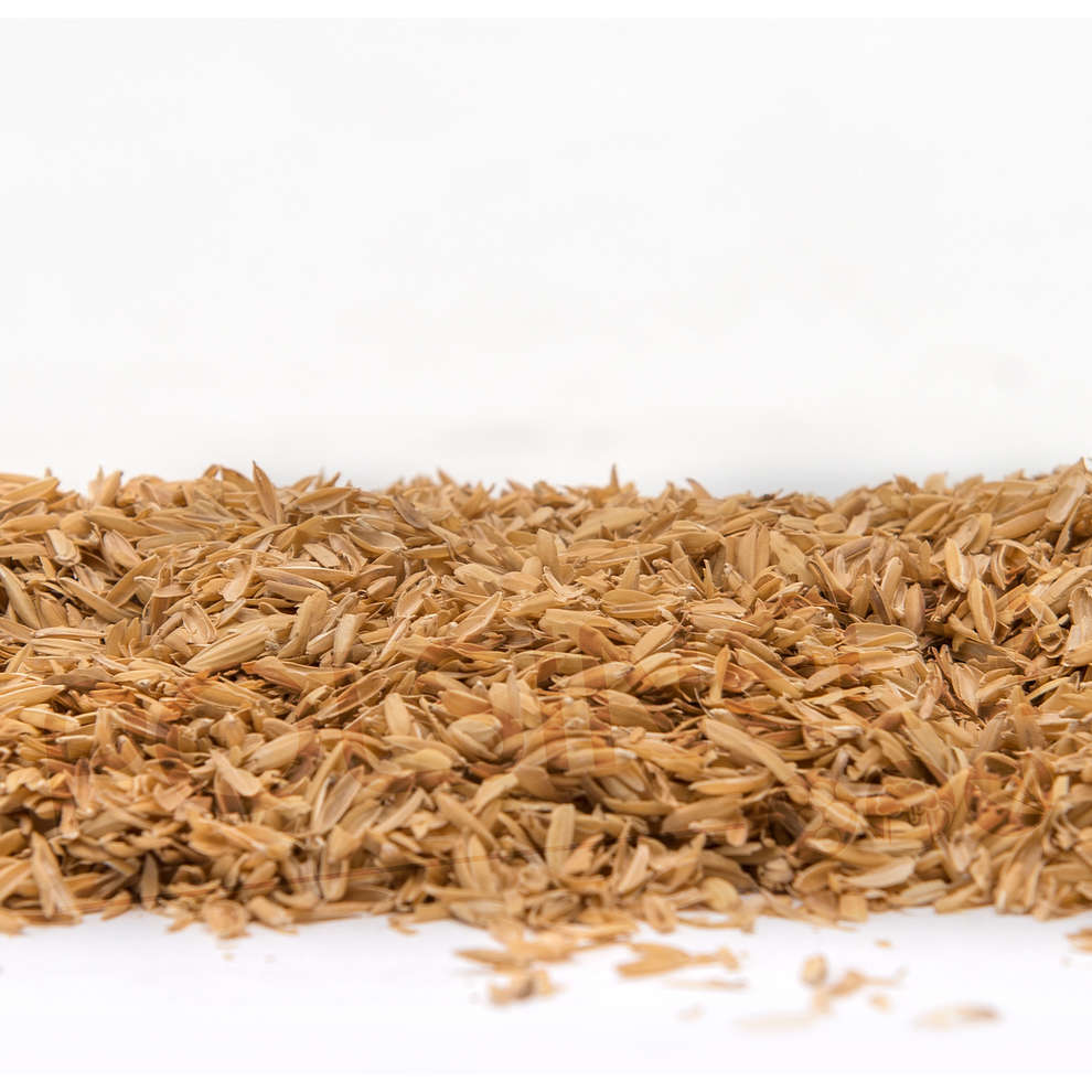 Lolla di Riso 2 kg Birra | Polsinelli Enologia