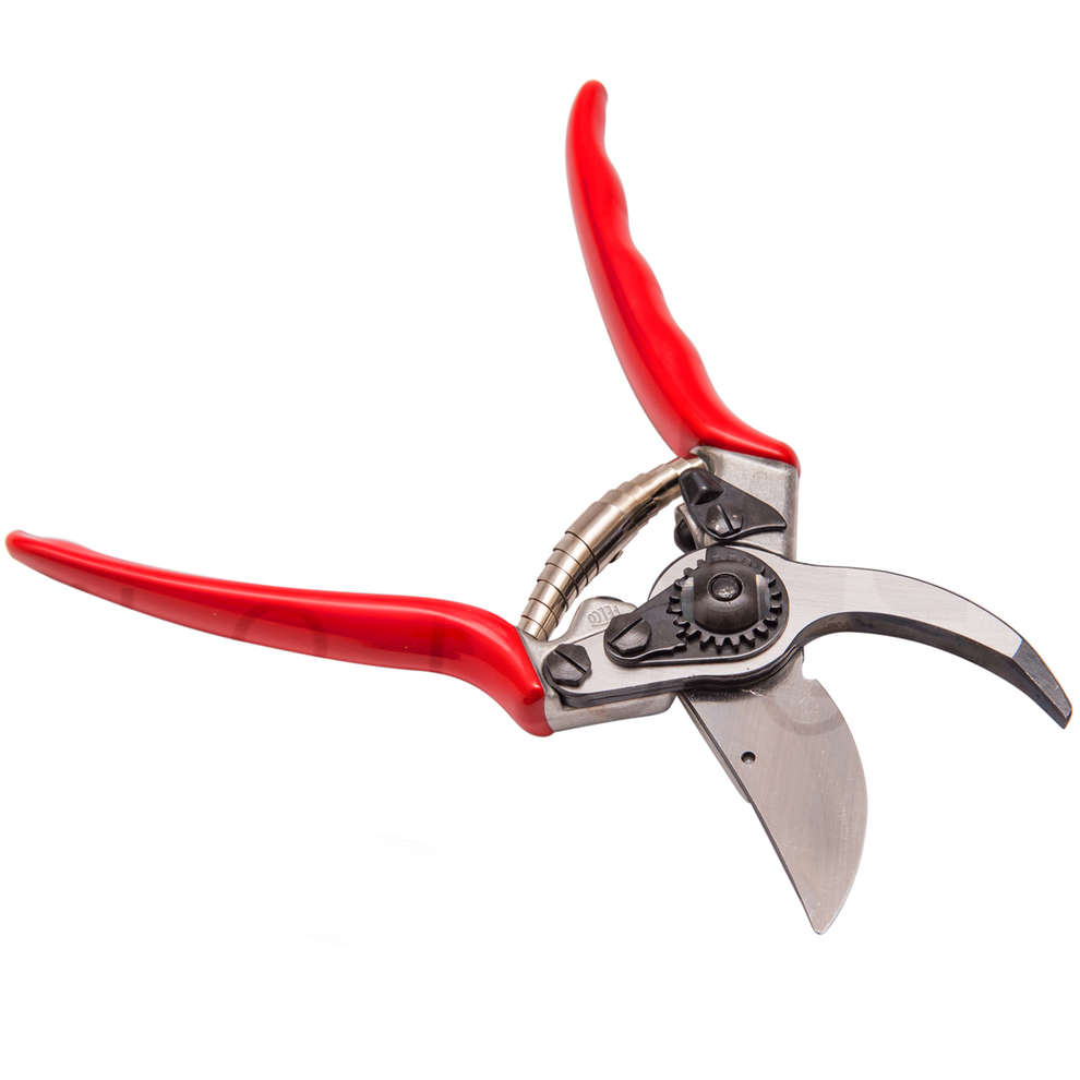 Pruning shear Felco 11 Olive oil | Polsinelli Enologia