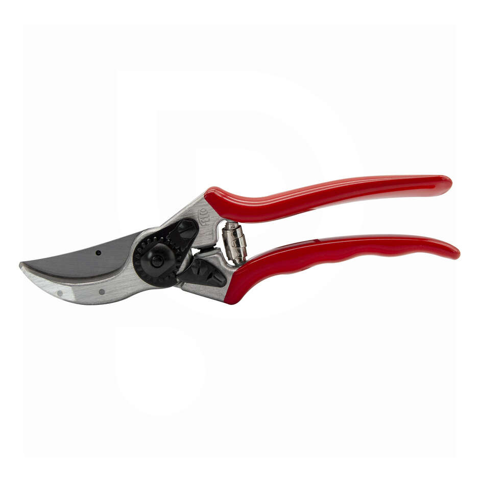 Pruning shear Felco 2 Olive oil | Polsinelli Enologia