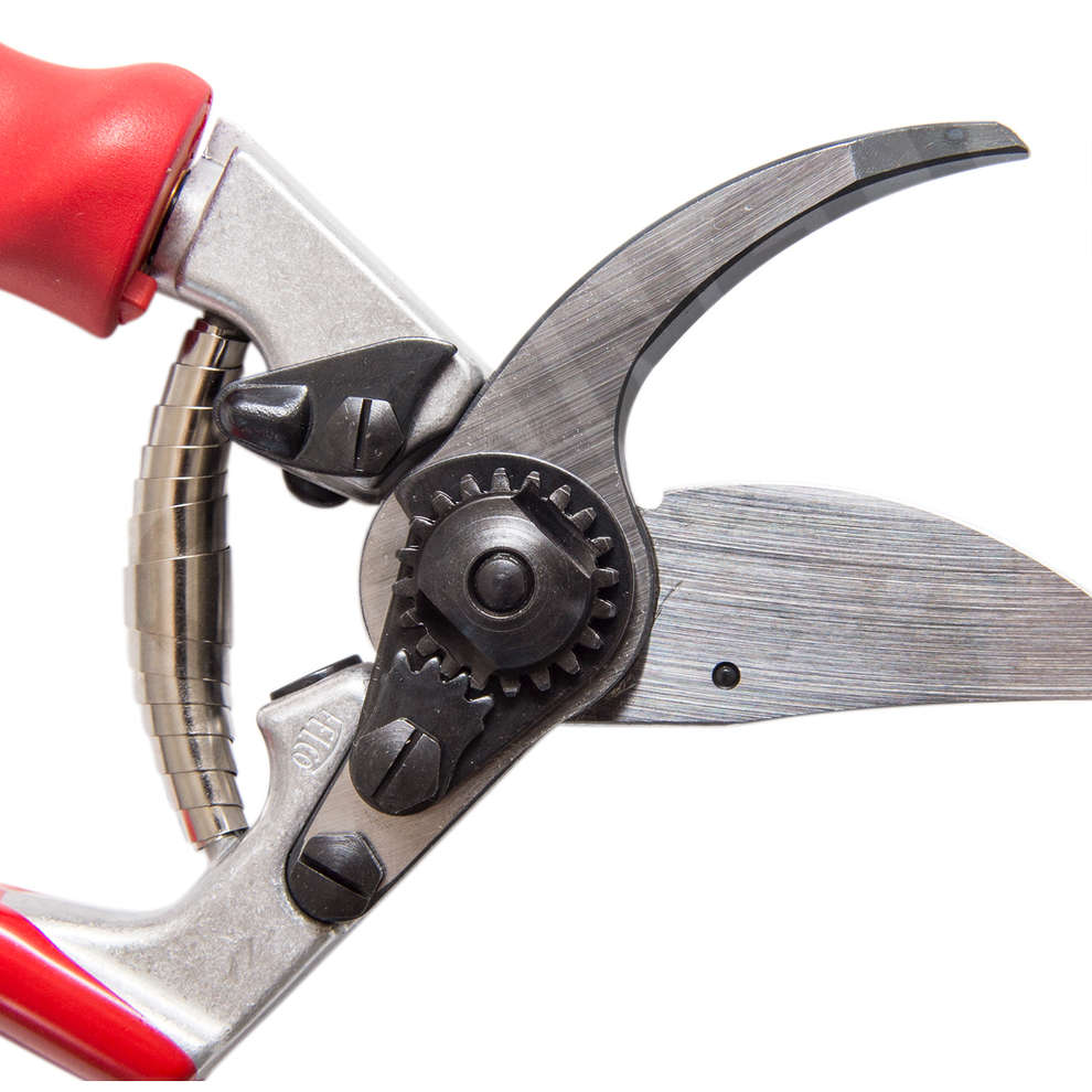 Pruning shear Felco 7 Olive oil | Polsinelli Enologia