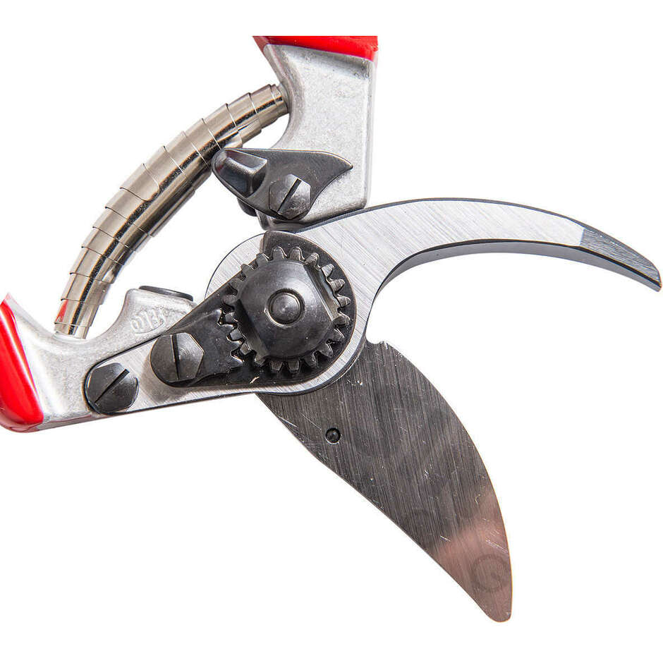 Pruning shear Felco 8 + Felco 905 Wine | Polsinelli Enologia