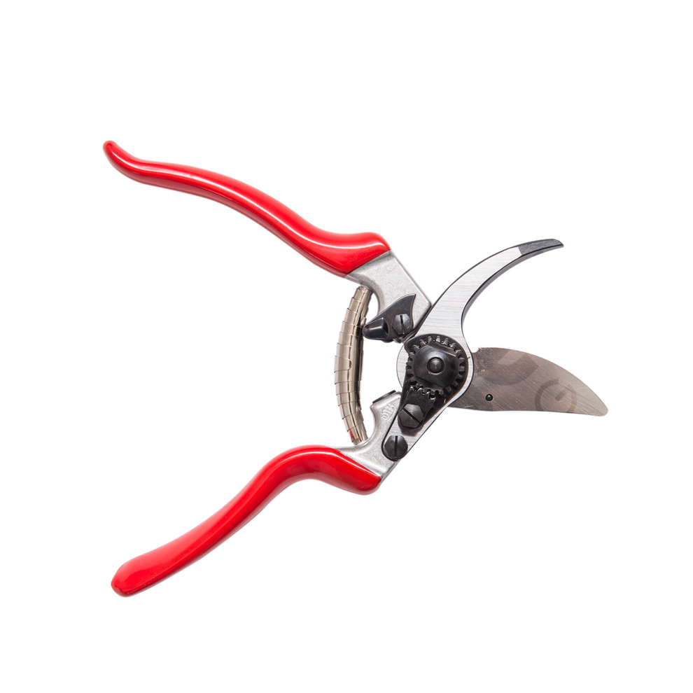 Schere Felco 8 Olivenöl | Polsinelli Enologia