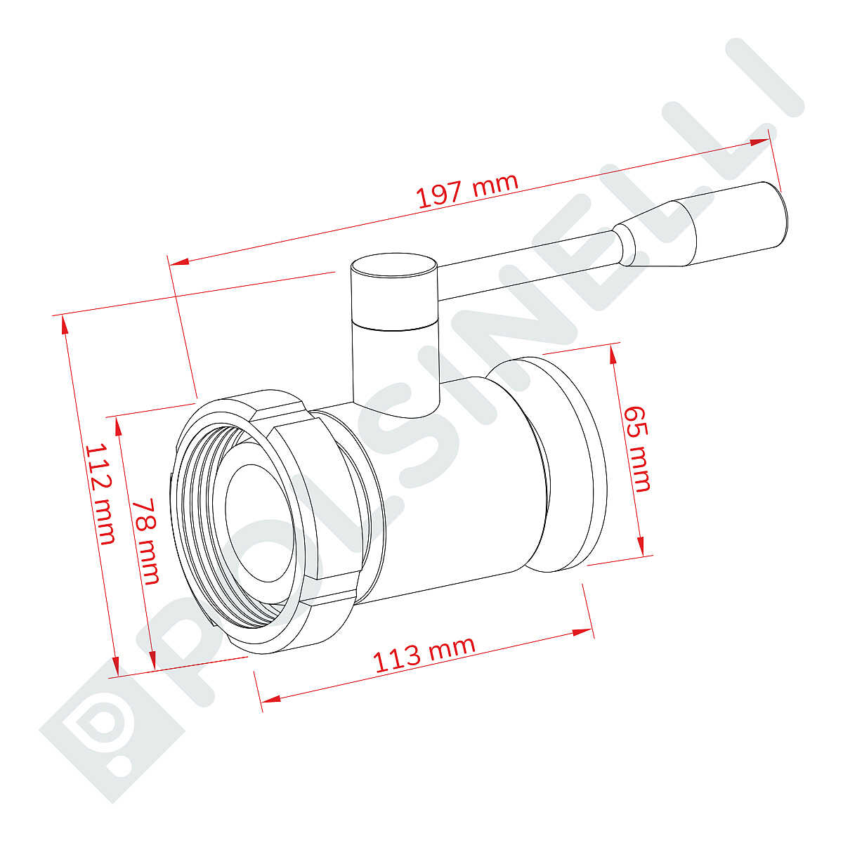 Valvola a sfera inox DIN 40 M x GA 40 | Polsinelli